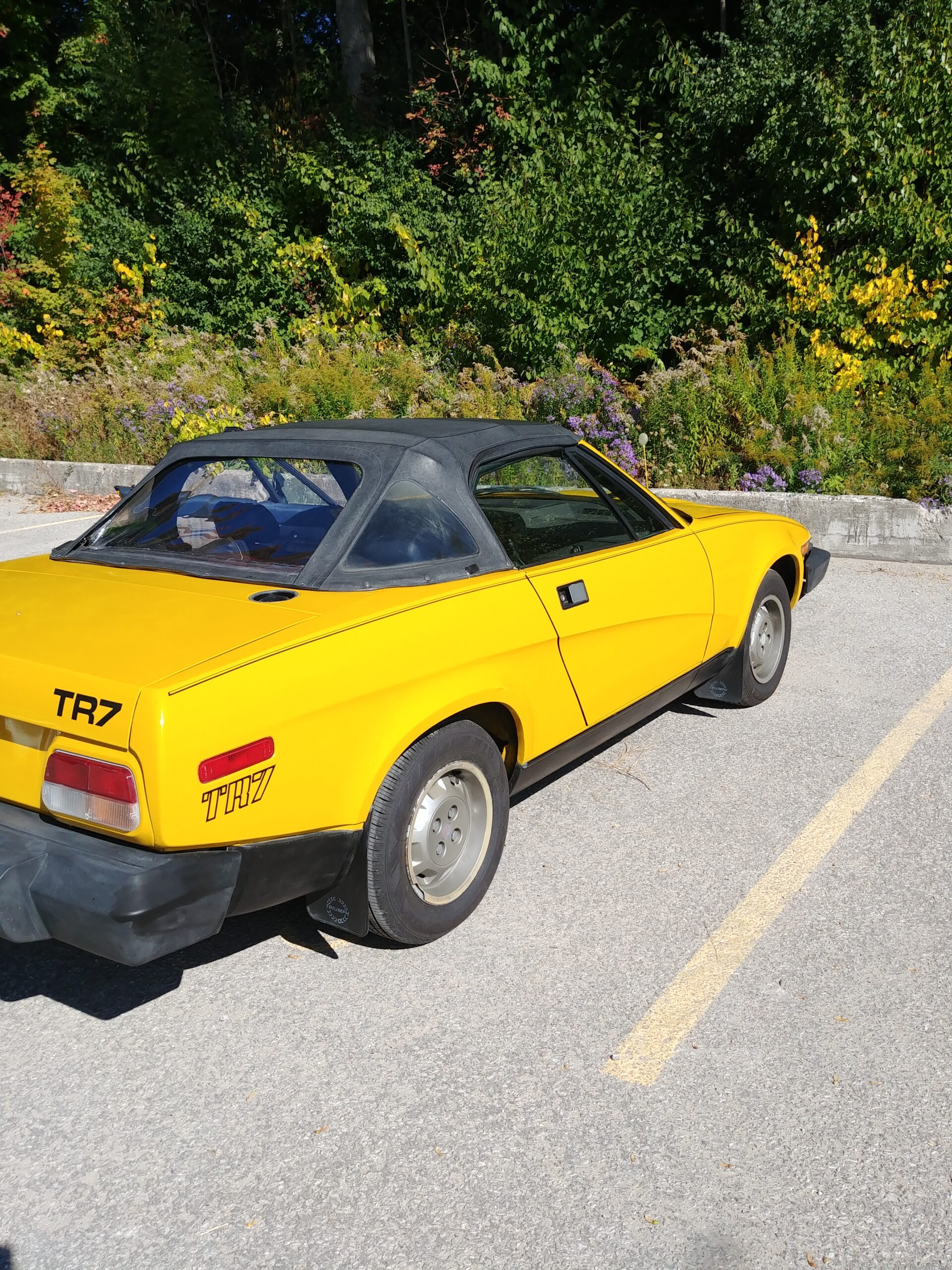 TR7 convertible for sale – Toronto Triumph Club